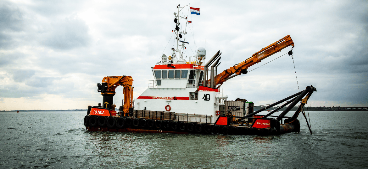 Noise study finds Tiamat safe for marine mammals and fish